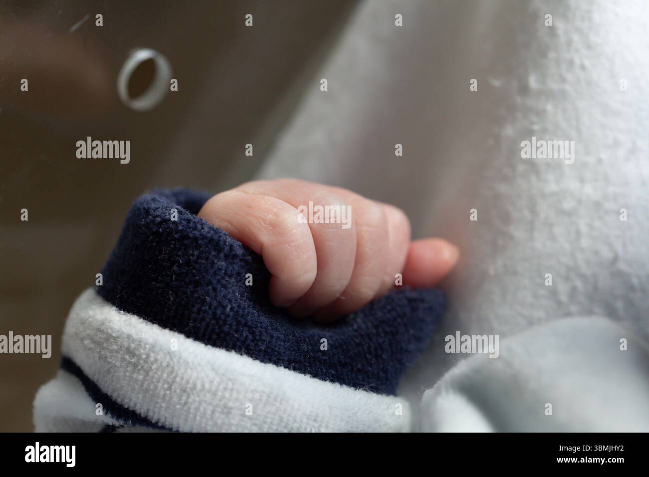 Tiny hand of a newborn baby grasping the incubator window in a neonatal ...