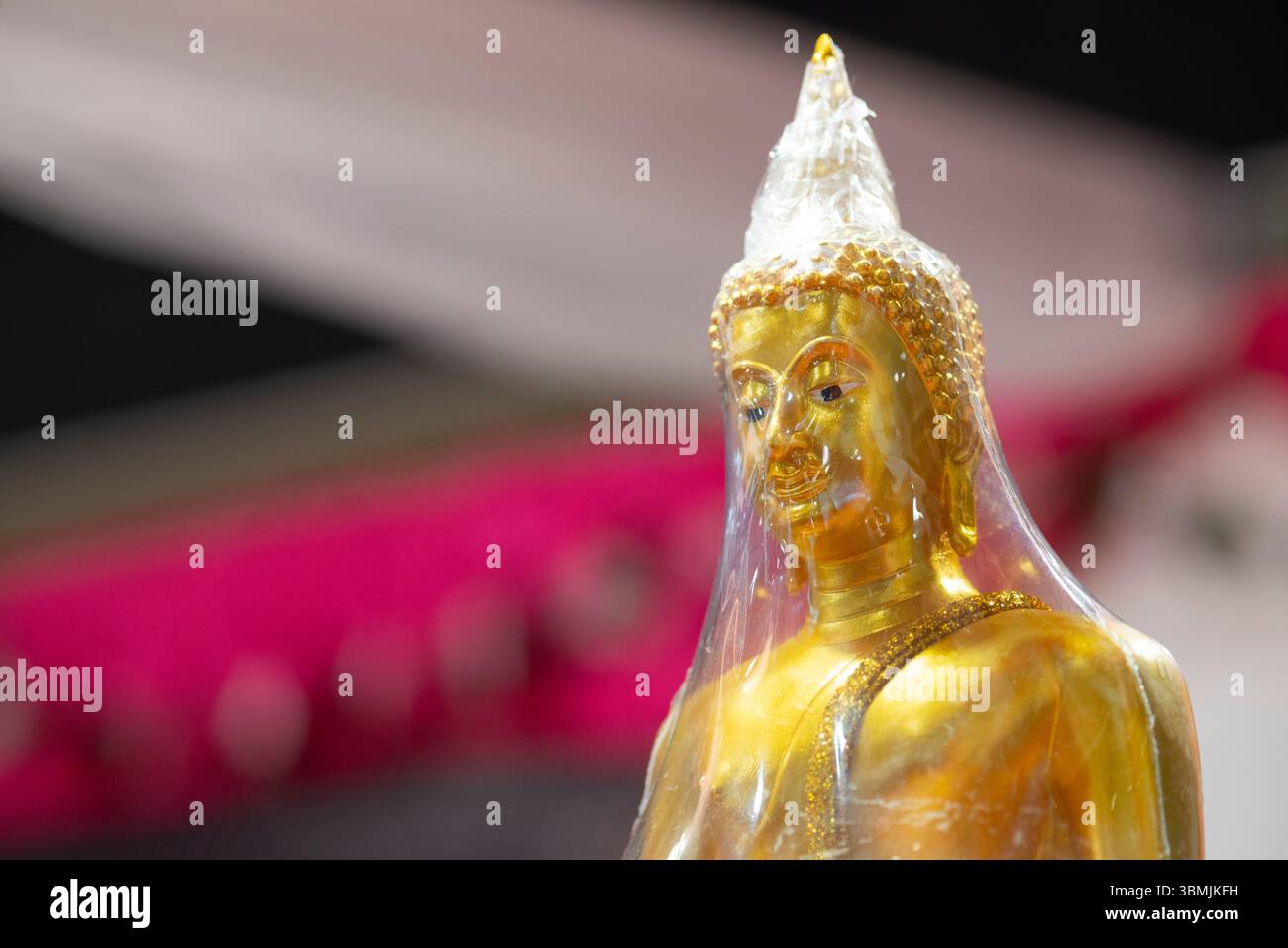 Buddha Wrapped in Plastic Stock Photo - Alamy