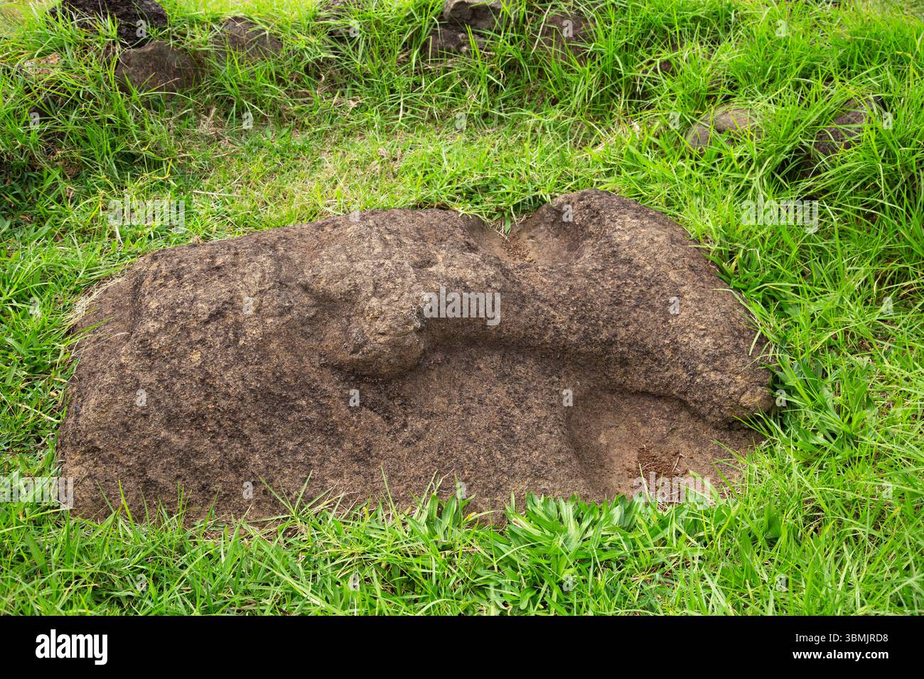 Face of a buried Moai statue, Easter Island, Pacific Ocean Stock Photo ...