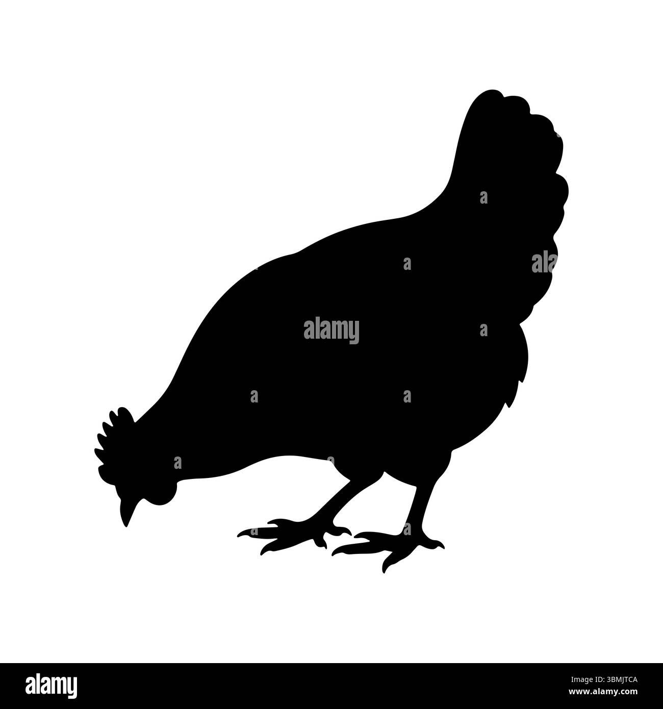 Chicken silhouette or hen silhouette grazing side view Stock Vector ...