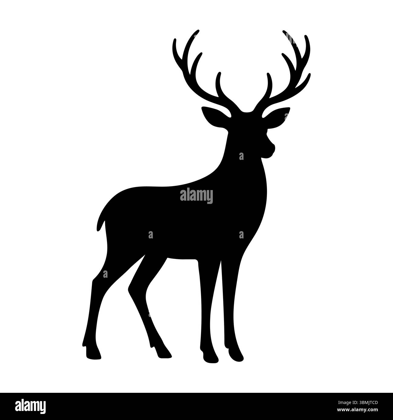 Side view deer in Black and White Stock Photos & Images - Alamy