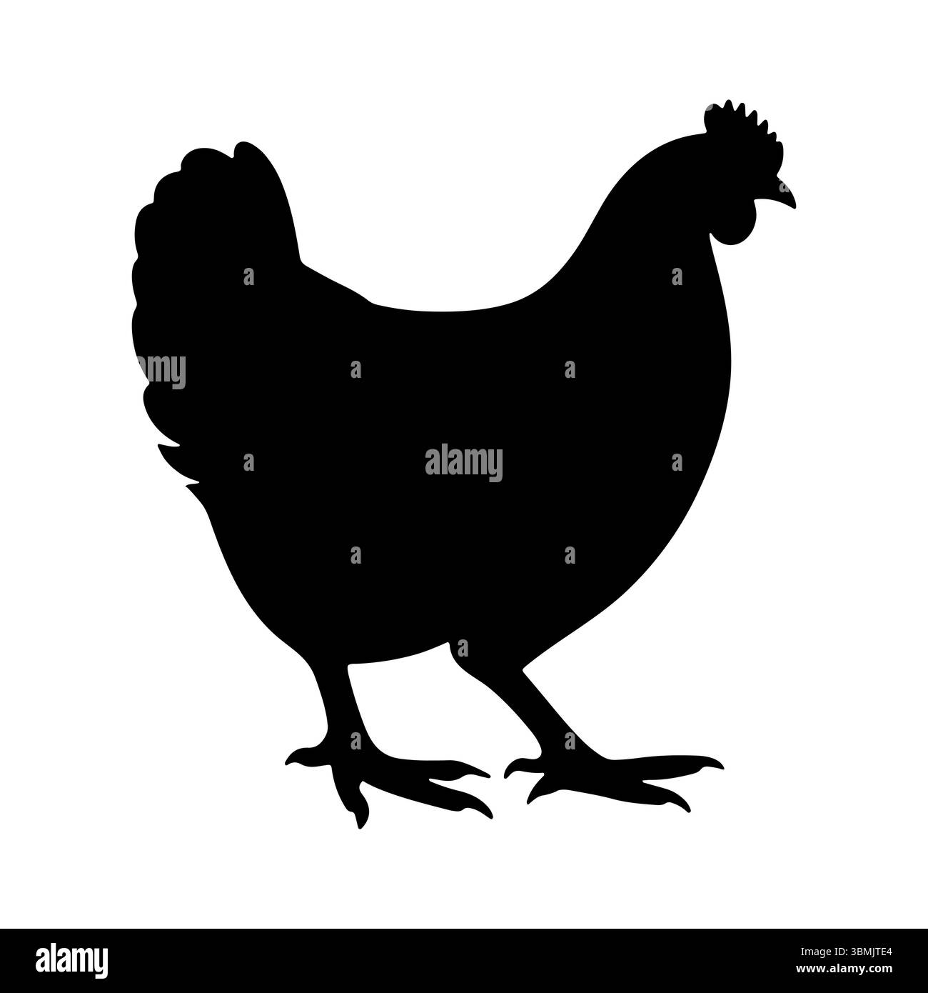Chicken silhouette or hen silhouette standing side view Stock Vector ...