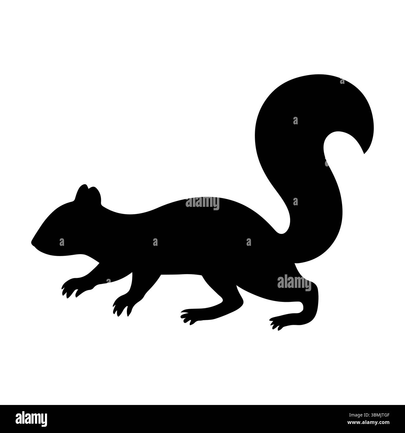 Squirrel logo template design Stock Vector Images - Alamy