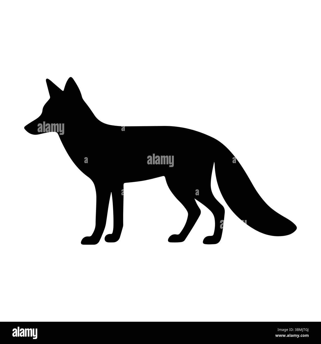 Wild red fox standing Stock Vector Images - Alamy