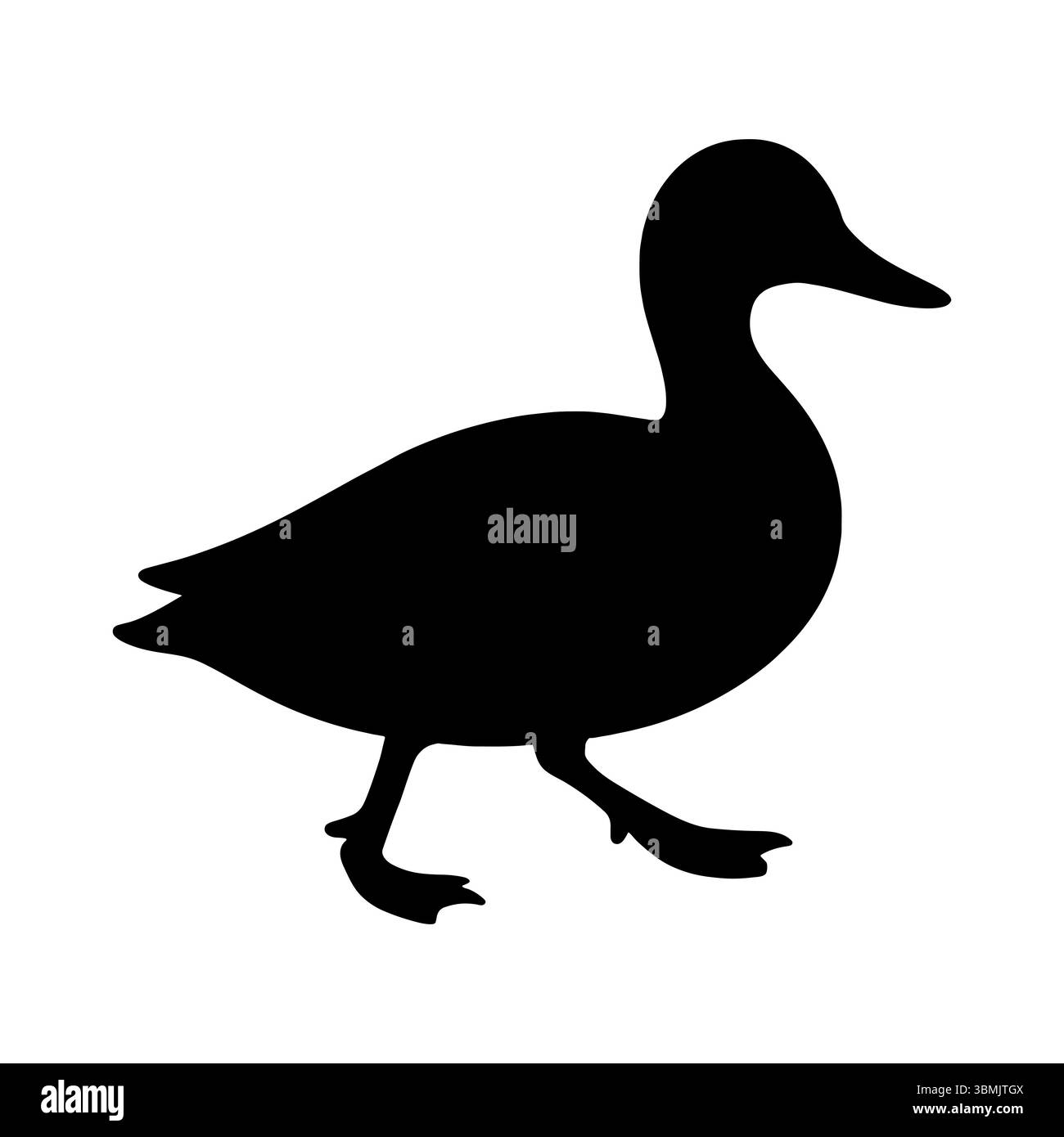 Duck silhouette standing side view Stock Vector Image & Art - Alamy