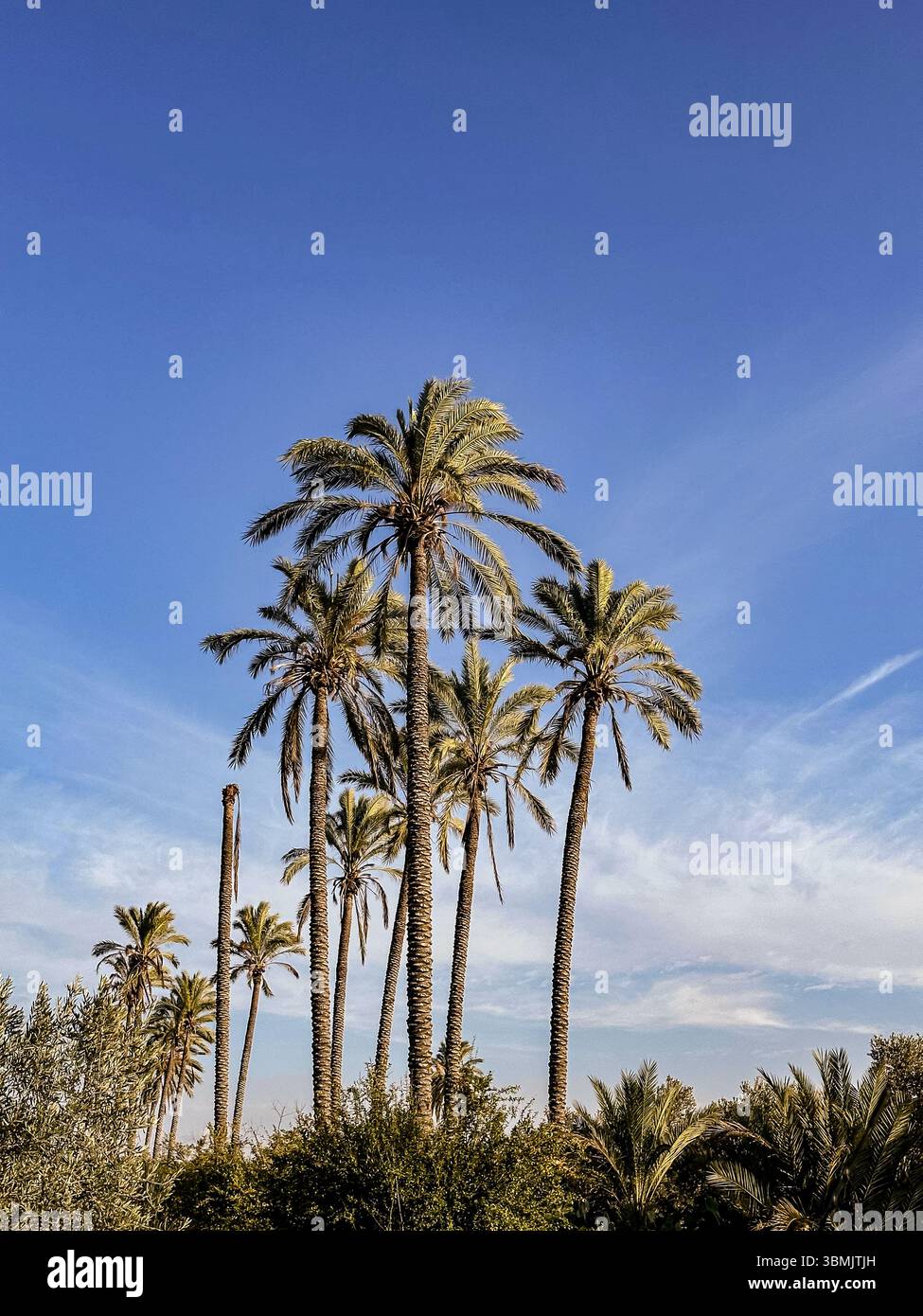 Raindrops background sky reflection hi-res stock photography and images ...