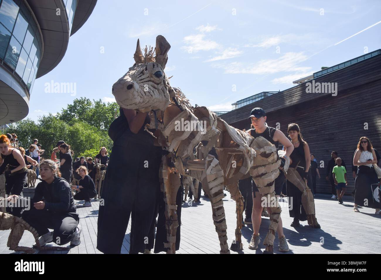 London, UK. 27th June 2025. Puppeteers take a life-size zebra puppet ...