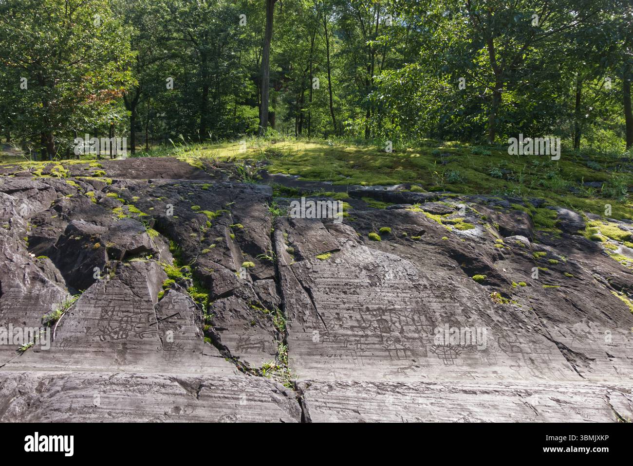 Prehistoric (petroglyphs) Rock Carvings In The Archaeological Park Of ...
