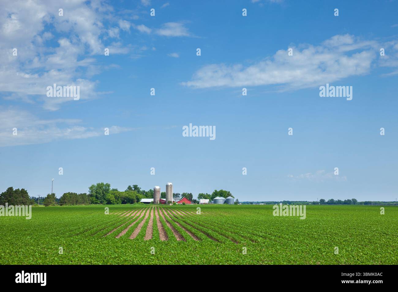 Farm and soybean field in north central Minnesota during the late ...