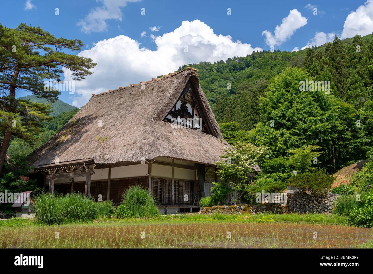 Thatched-roof houses and flooded rice paddies define the peaceful ...