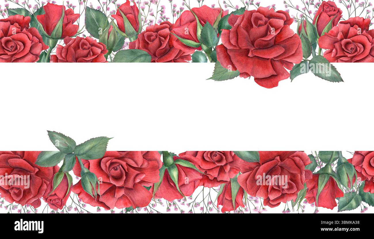 Red roses, gypsophila horizontal watercolor border isolated background ...