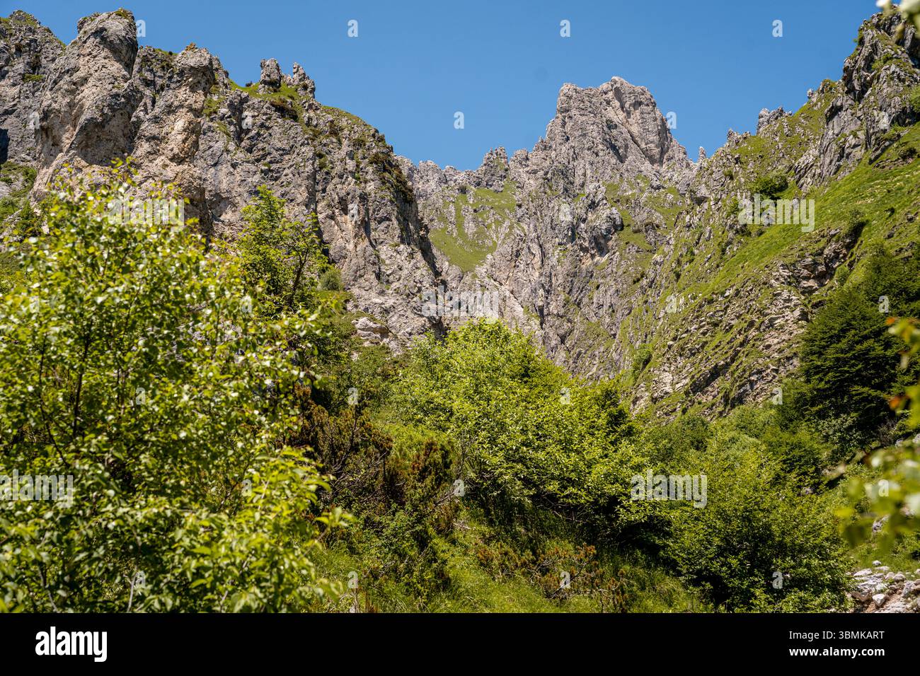 Rugged Alpine Peaks And Verdant Valleys In The Grigna Massif: Scenic ...