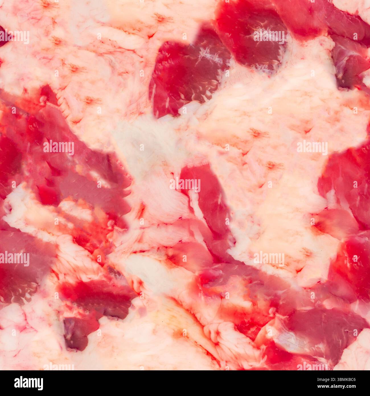 Seamless 4k photo texture of vacuum packed pork meat with fat Stock ...
