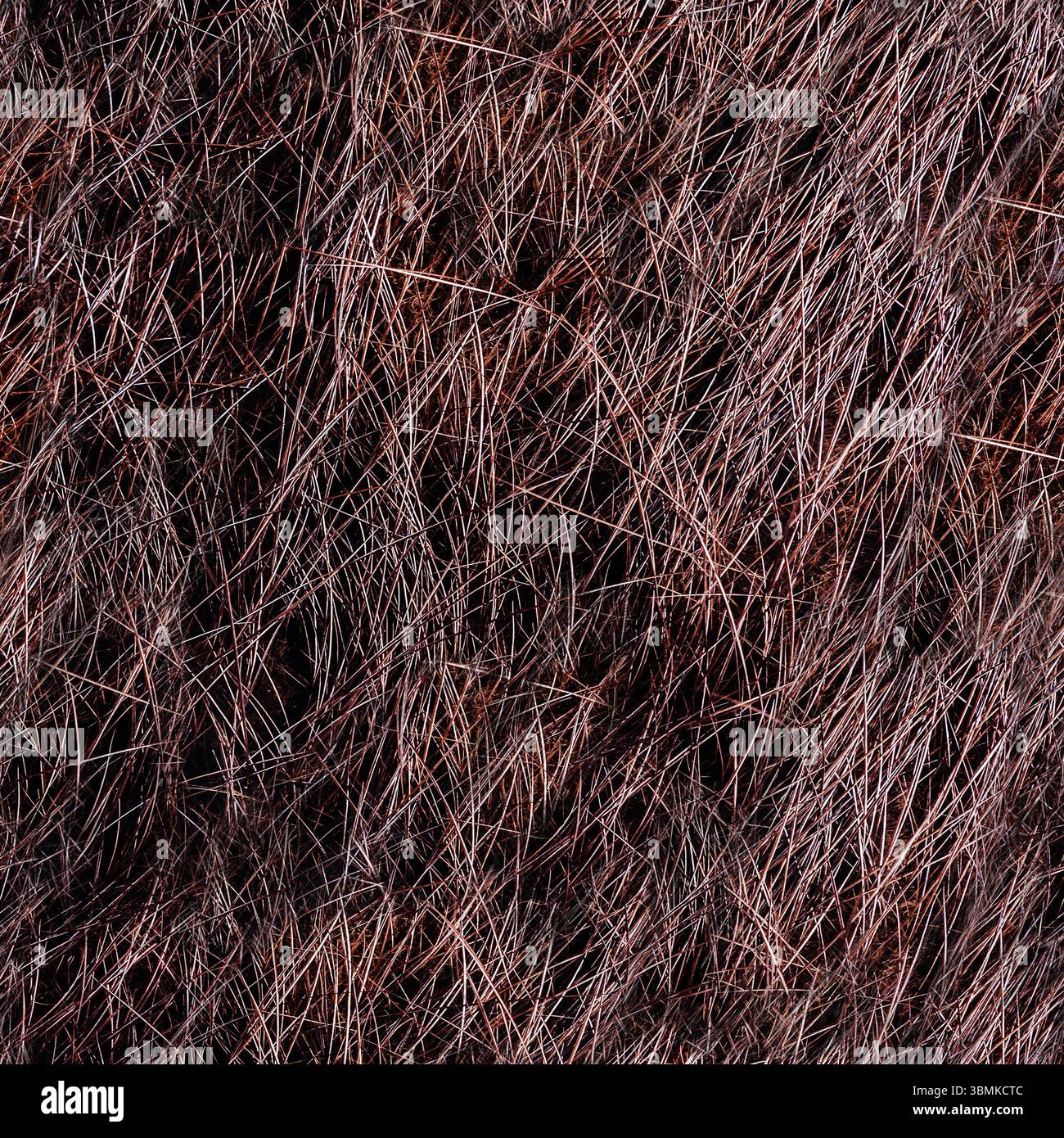 Seamless close up 4k photo texture of brown natural fur material Stock ...
