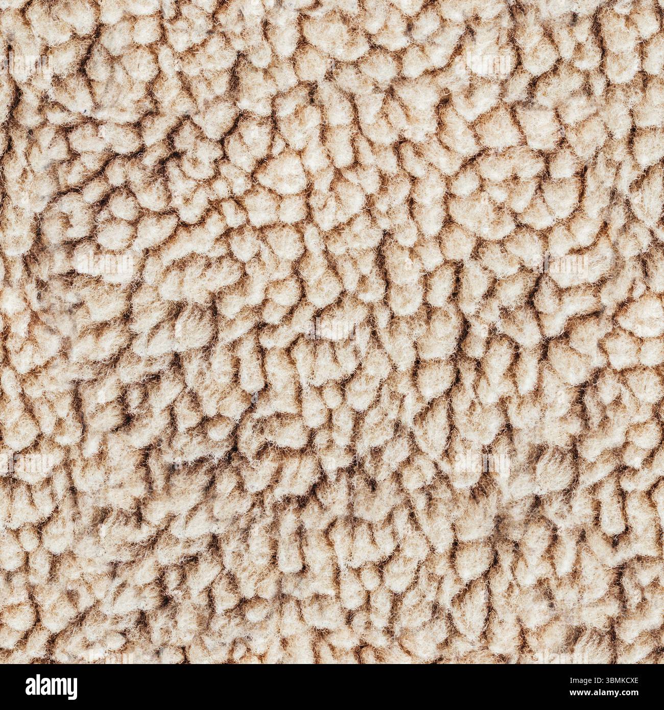 Astrakhan coat hi-res stock photography and images - Alamy