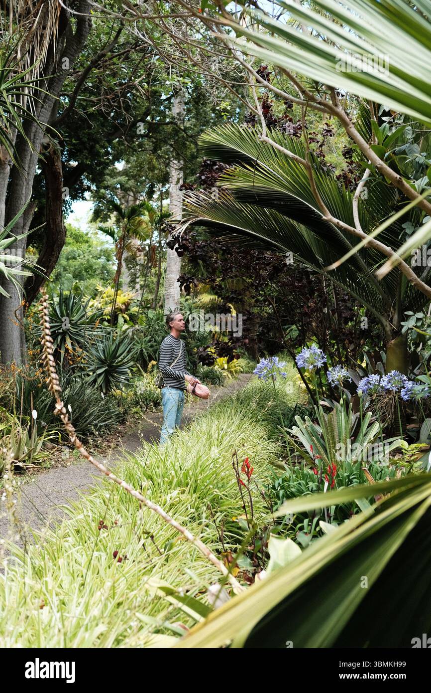 Tropical and sub-tropical plants in La Orotava botanical garden in ...
