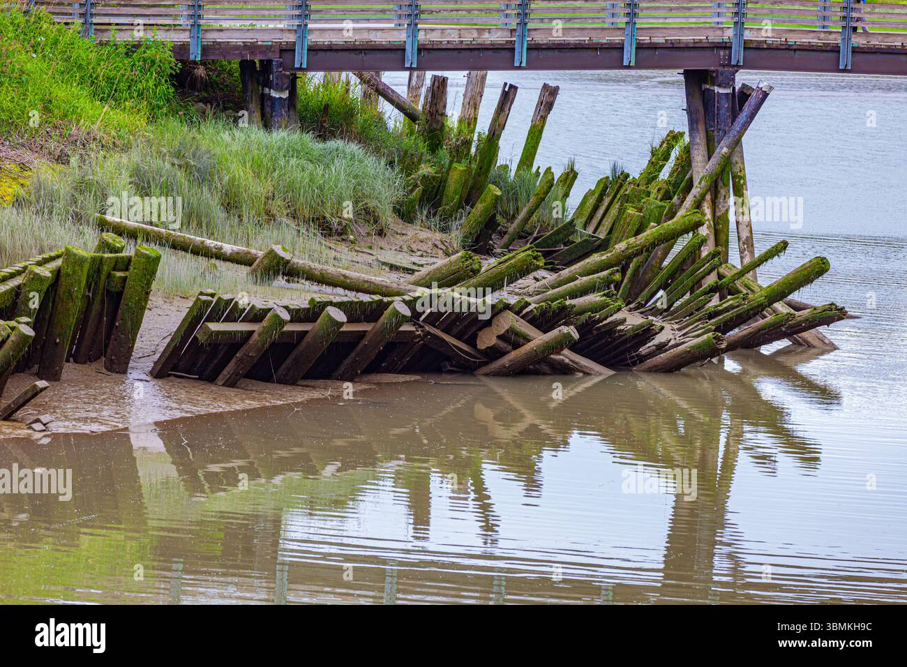 Collapsing wooden pilings and barrier along the Steveston waterfront in ...