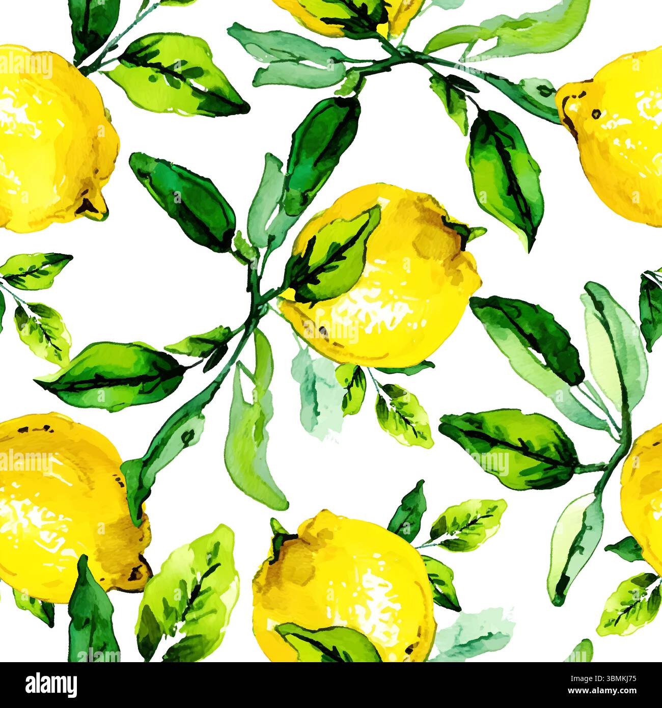 Background branches fresh citrus Stock Vector Images - Alamy