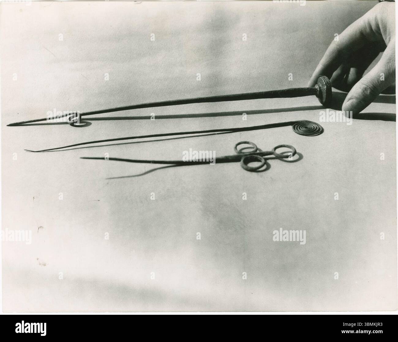 Bronze pins found in the prehistoric pile dwelling on Isolone del ...