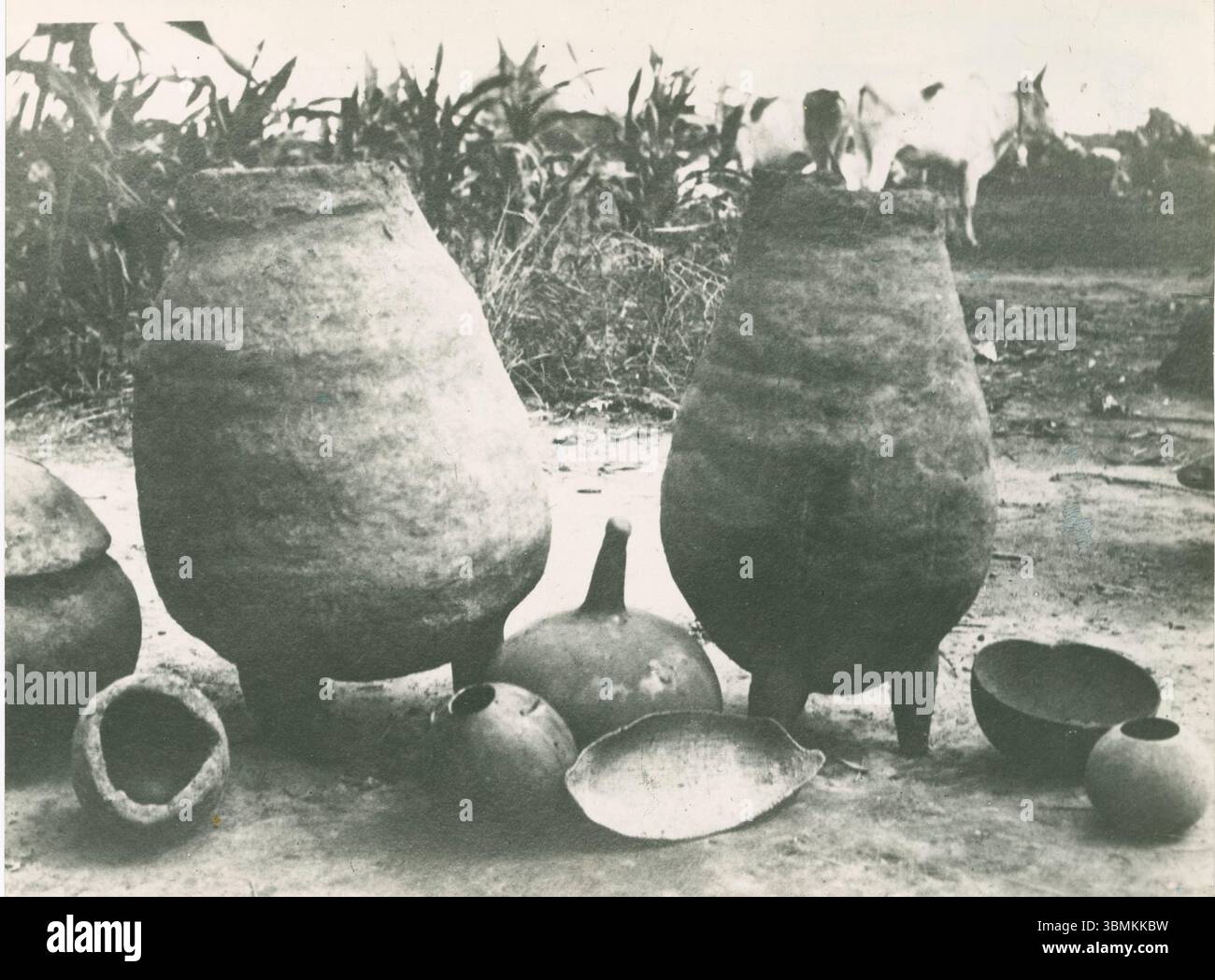 Clay containers for water and grain Stock Photo - Alamy