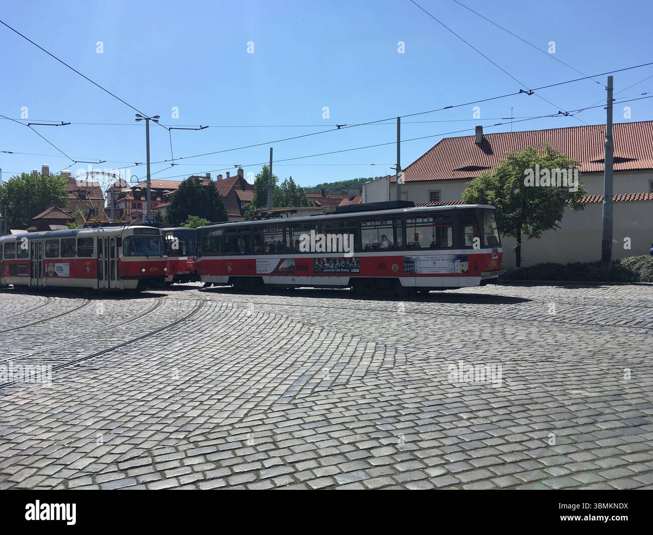 Historic trams—classic Tatra T3s and modern Škoda ForCity models ...