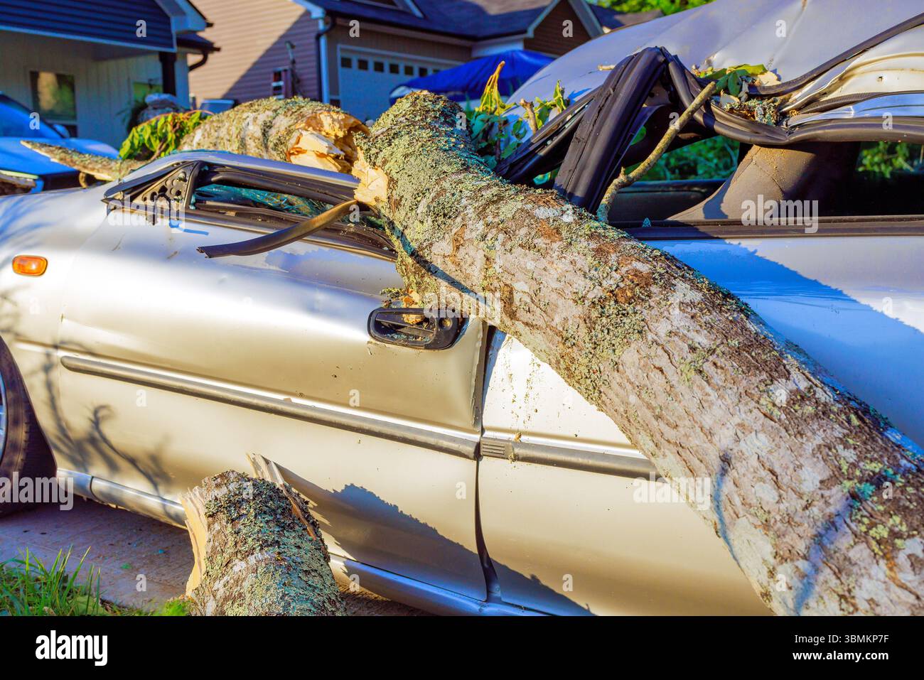 Fallen tree lies on top of car in suburban neighborhood after storm ...