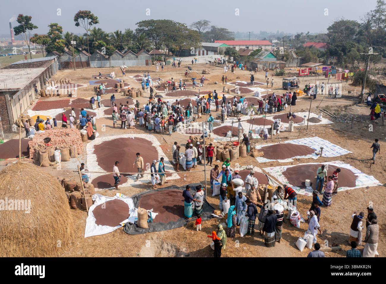 Drone view of mustard trading at Baishmouja Bazaar on the banks of the Meghna River in Nabinagar ...