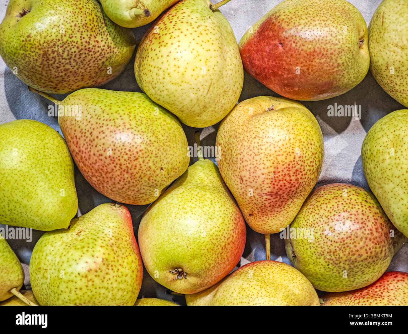 A large group of green and red pears are arranged in a pile. The green ...