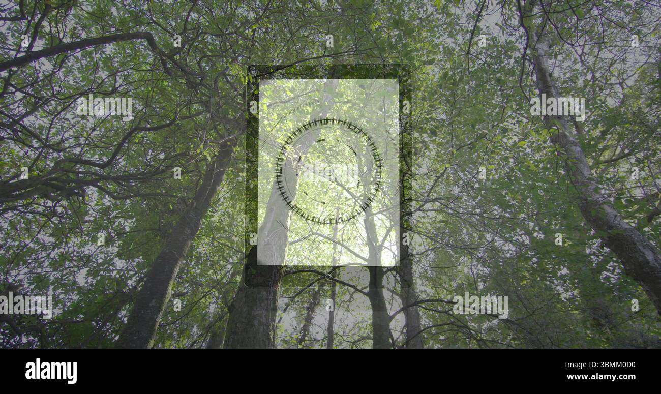 Image of tree canopy with abstract geometric design in natural setting ...