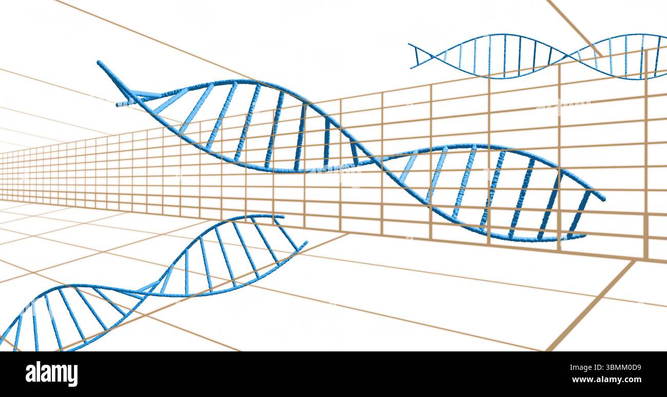 Image of blue DNA strands floating over grid lines in scientific ...