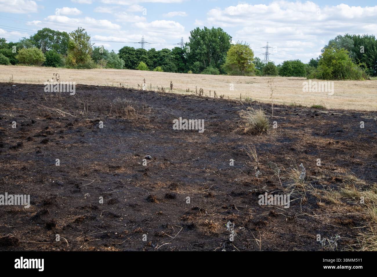 Scorched grass at Rammey Marsh, Enfield, London, after wildfires ...