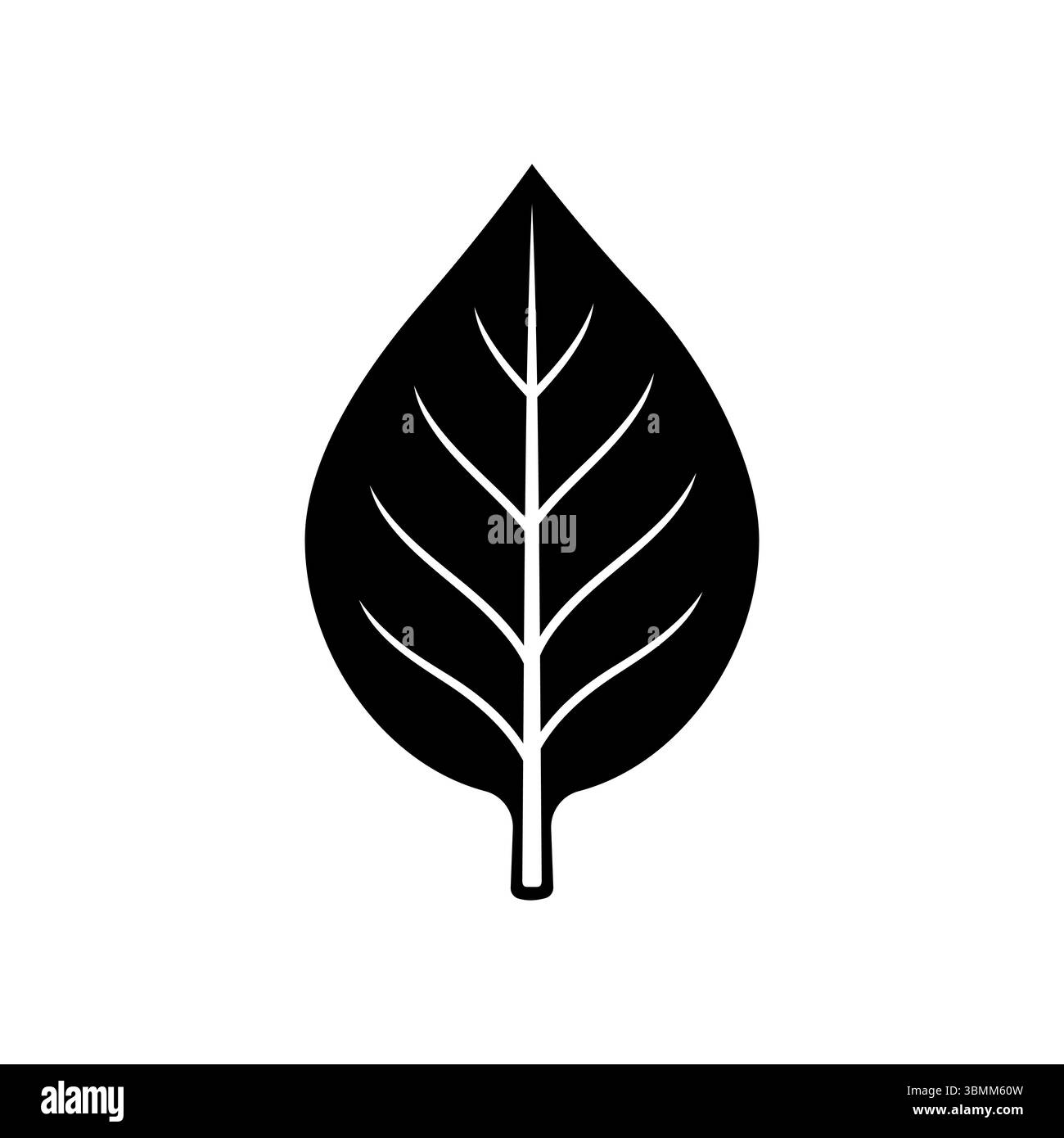Simple stylized leaf silhouette featuring central vein and clean ...
