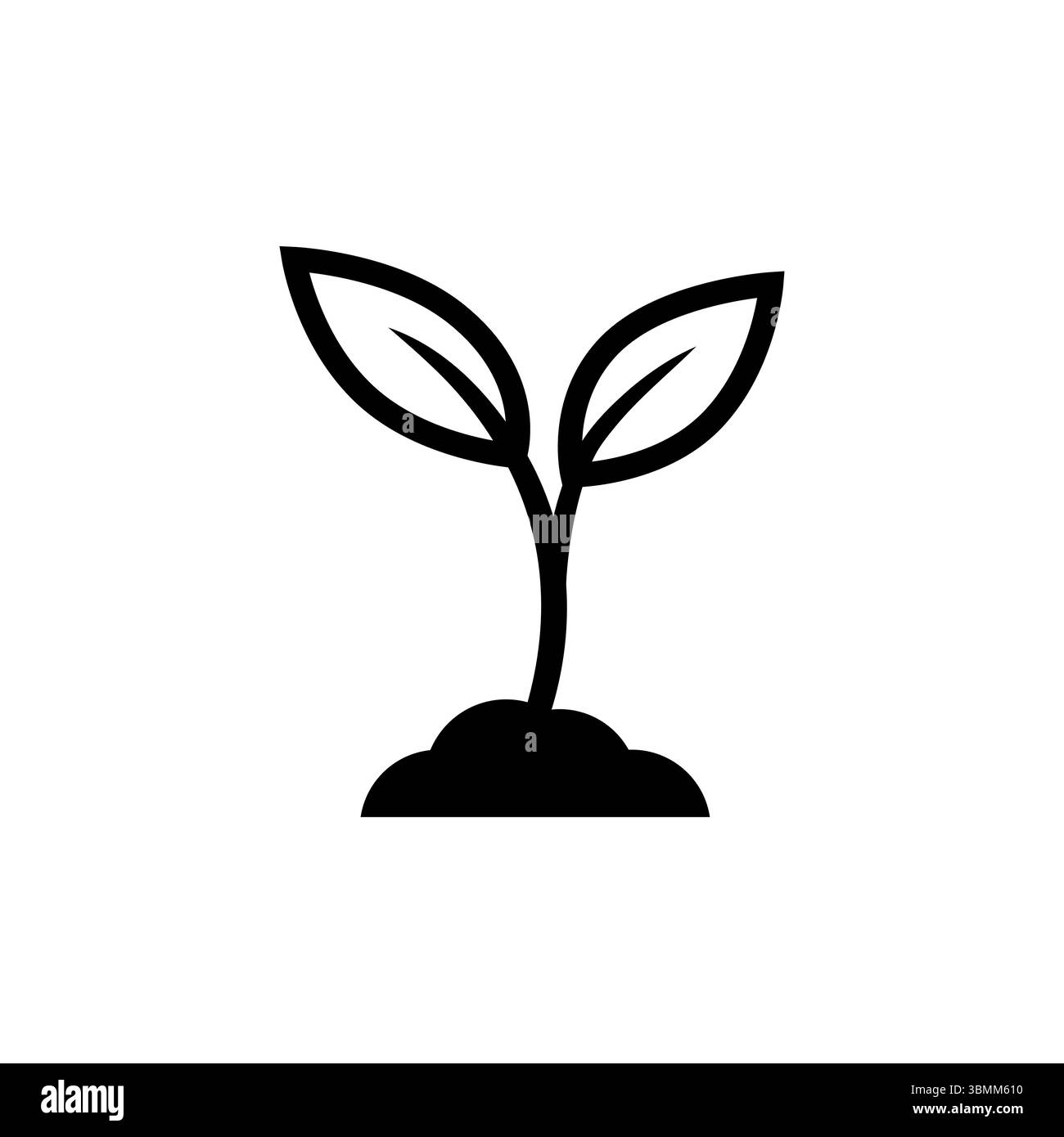 Start growing Black and White Stock Photos & Images - Alamy