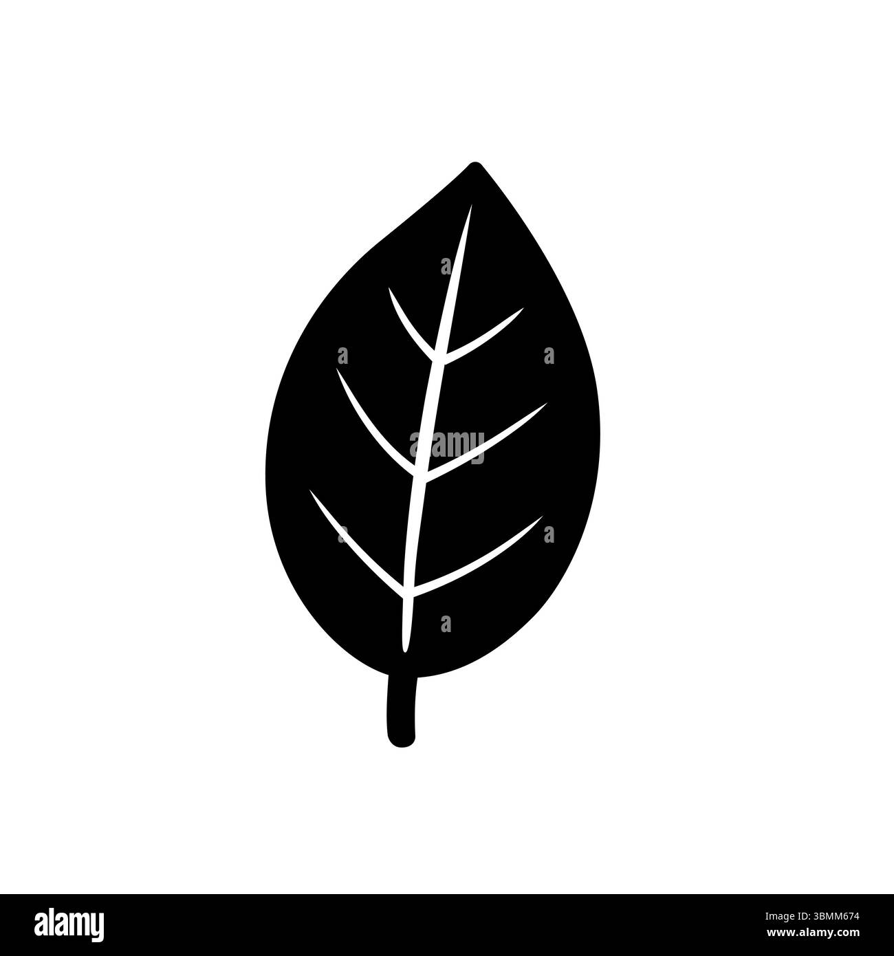 Simple stylized leaf silhouette featuring central vein and clean ...