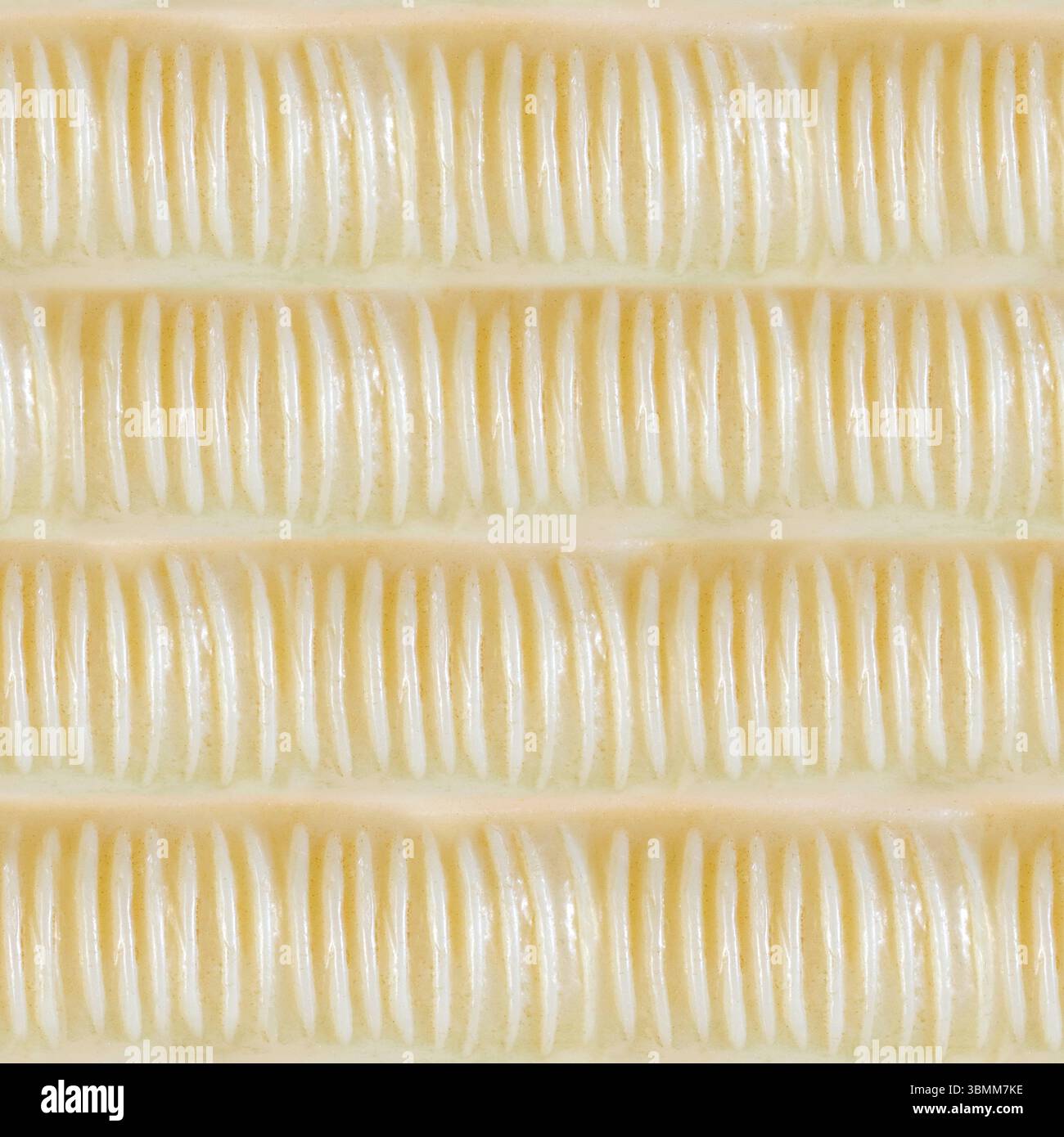 Seamless 4k photo texture material of beige colored plastic ribbed ...