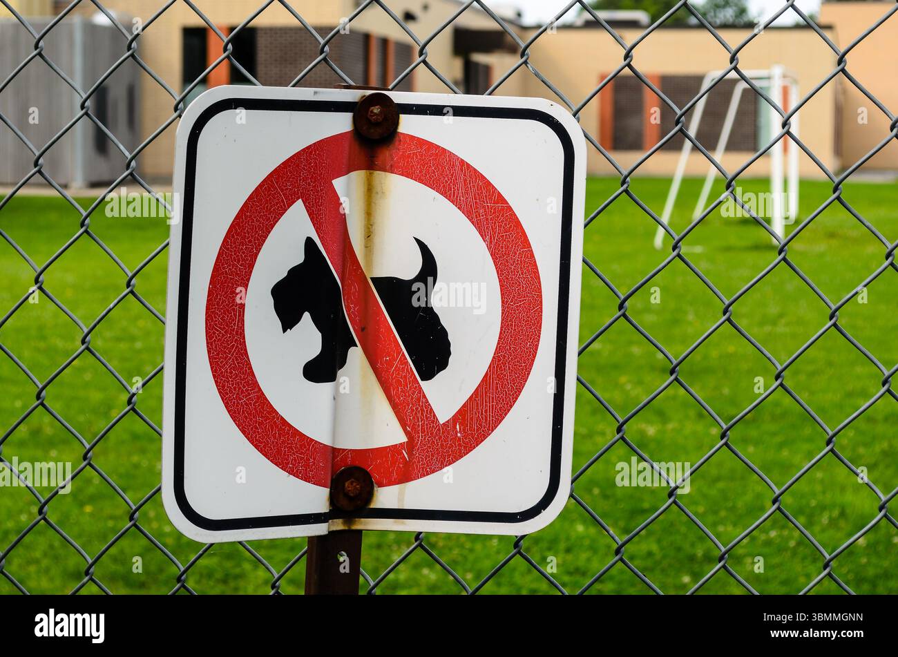 No Dogs Allowed sign without text on a schoolyard fence Stock Photo - Alamy