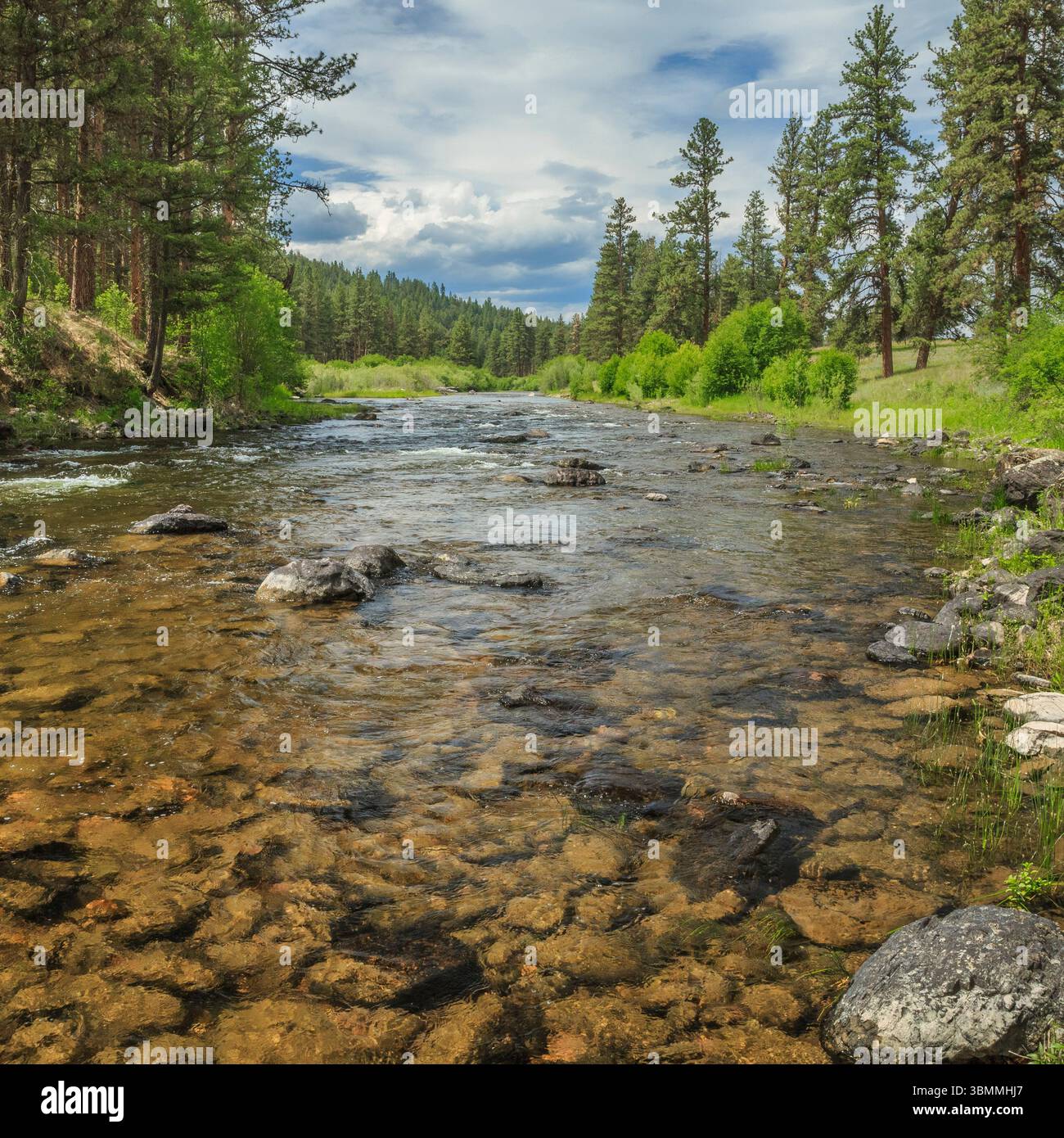 clearwater river above clearwater junction near ovando, montana Stock Photo - Alamy