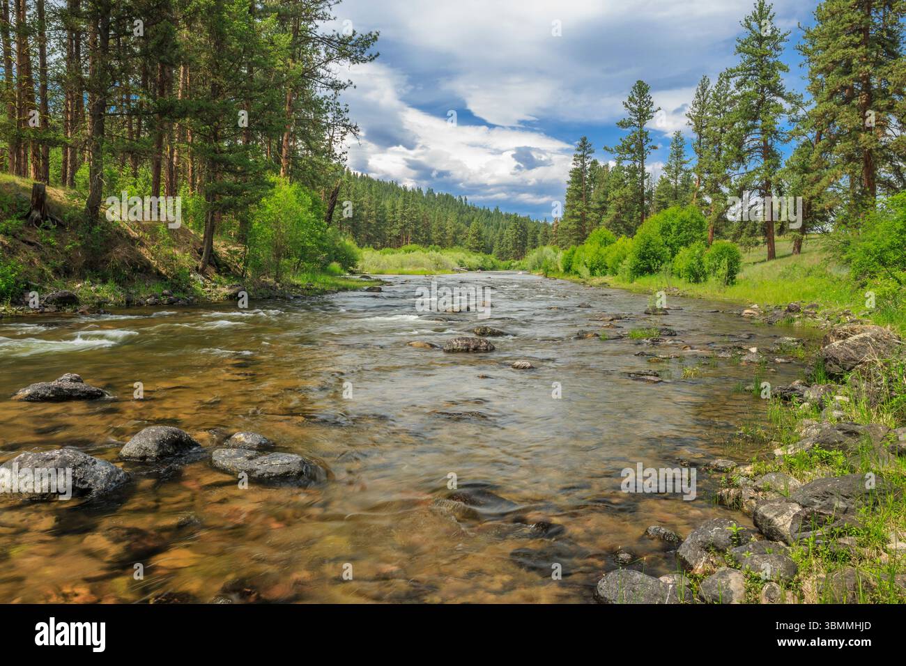 clearwater river above clearwater junction near ovando, montana Stock ...