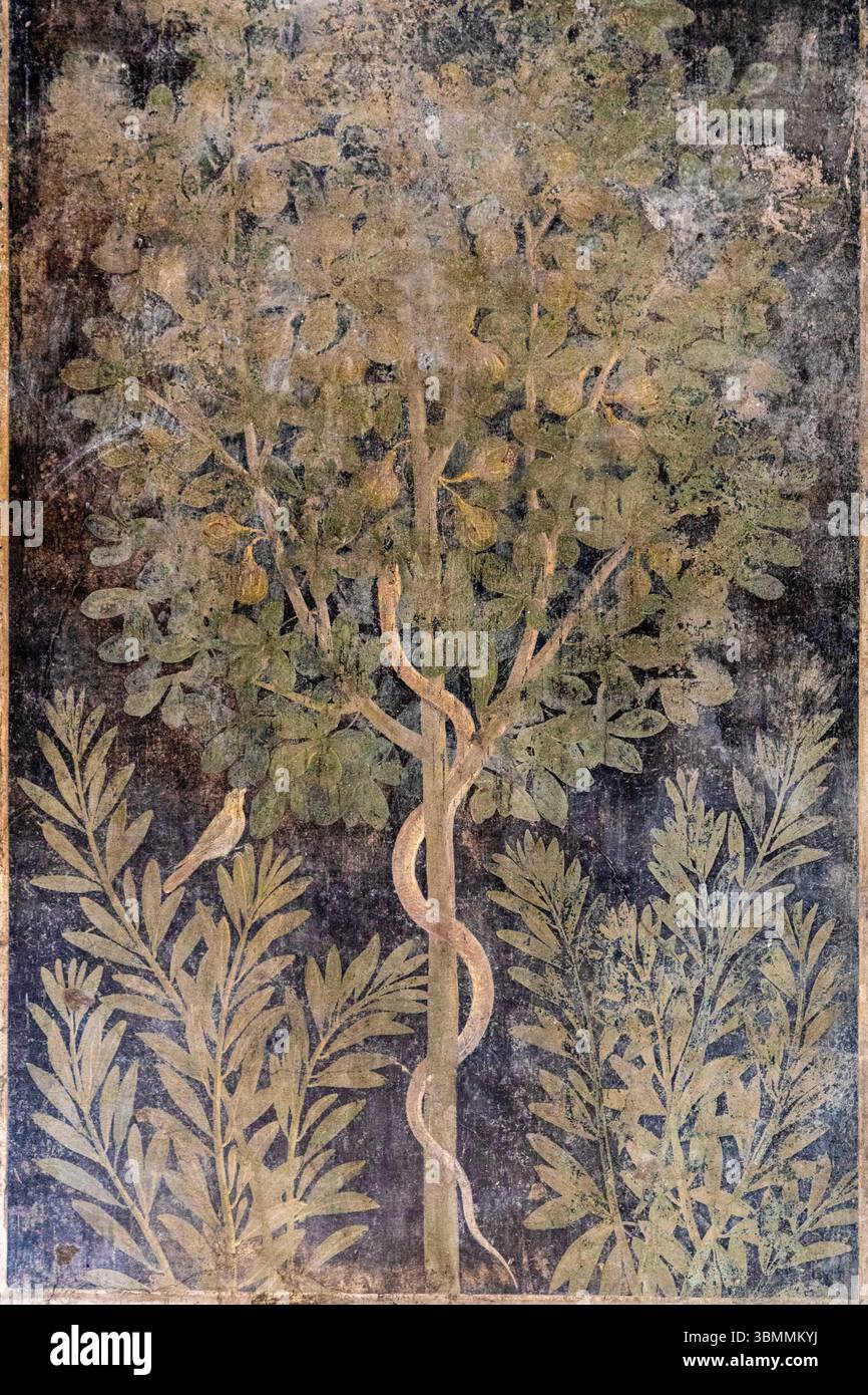 Tree of Life tile, at Pompeii Archaeological Park Stock Photo - Alamy