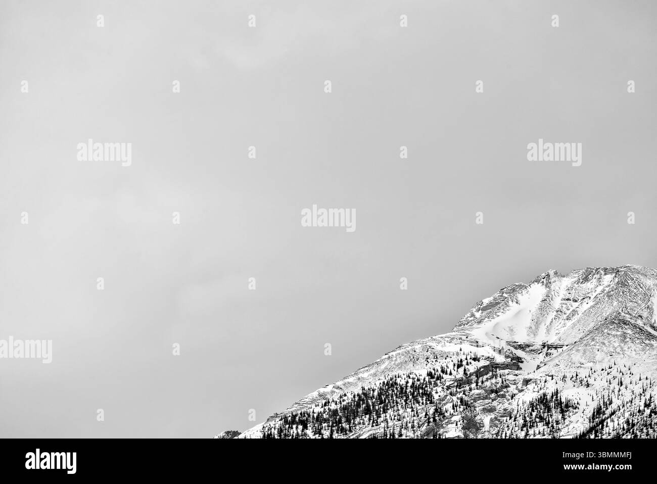 Blue march 2021 Black and White Stock Photos & Images - Alamy