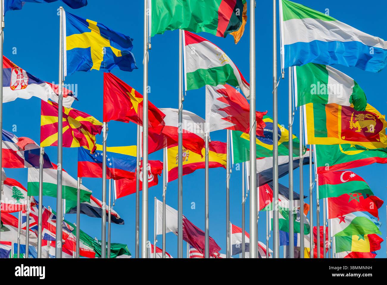 Lots of world's countries national flags waving on the wind, with ...