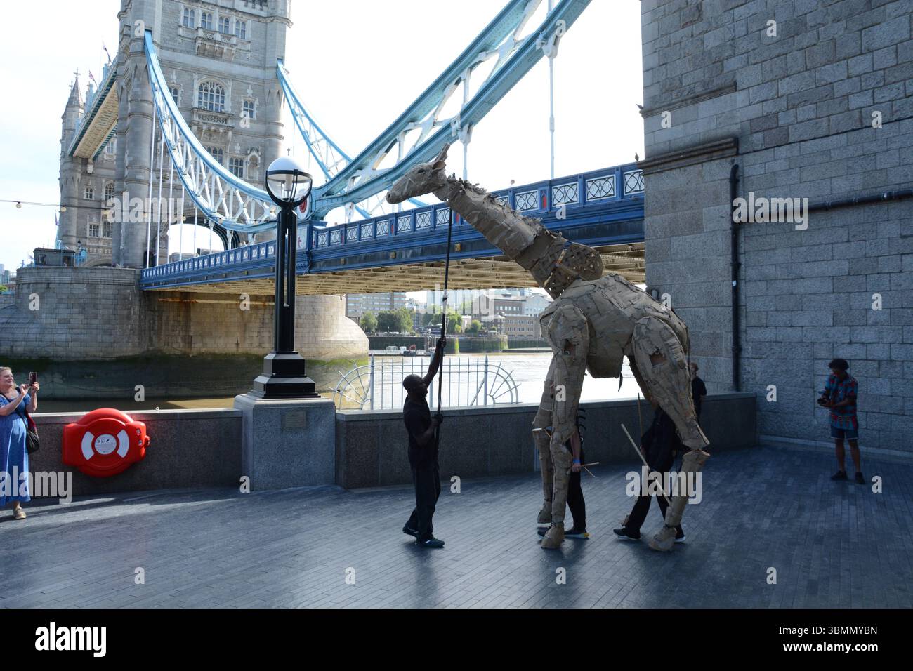 The Cardboard Animals that form The Herds paid a visit to Tower Bridge ...