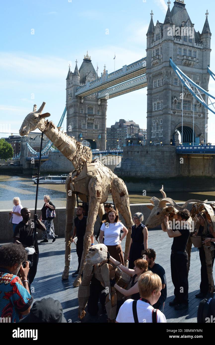 The Cardboard Animals that form The Herds paid a visit to Tower Bridge ...