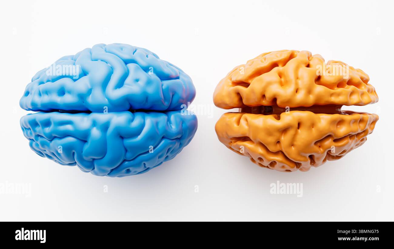 Illustration comparing a healthy brain (left) and one affected by ...