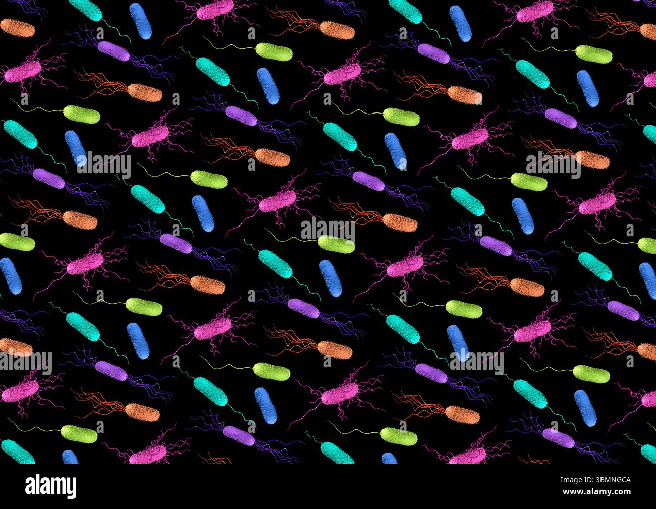 Amphilophotrichous flagella hi-res stock photography and images - Alamy