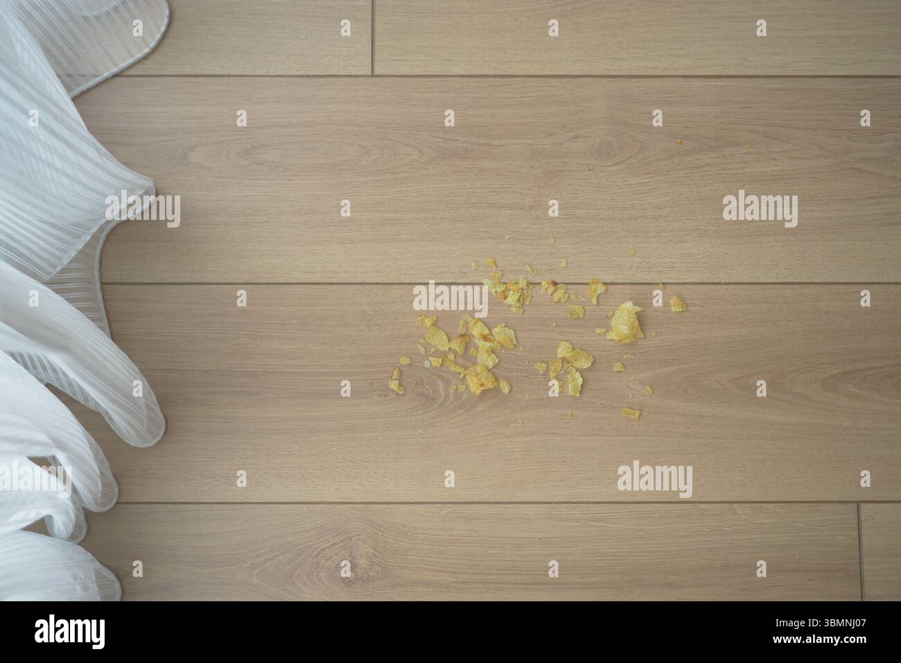 Crumbs Spilled on Hardwood Floor Near White Cloth Highlighting Mess ...