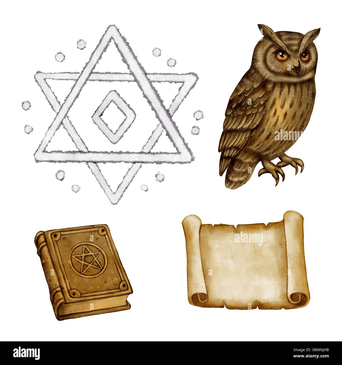set of Owl with magical spell book and old parchment scroll. Hand ...