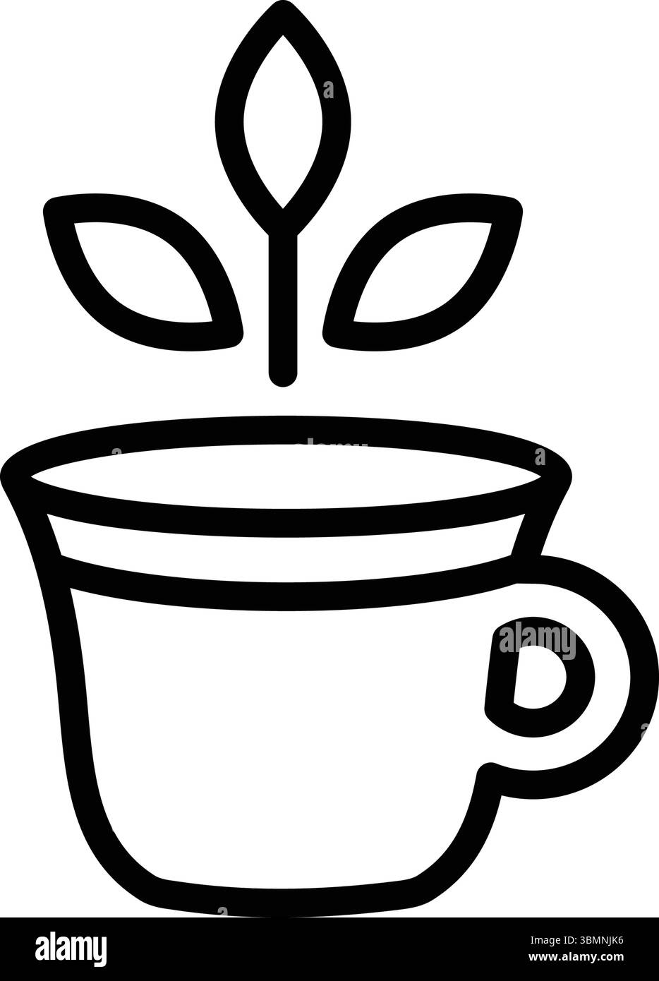 Camellia sinensis (tea) plant Cut Out Stock Images & Pictures - Alamy