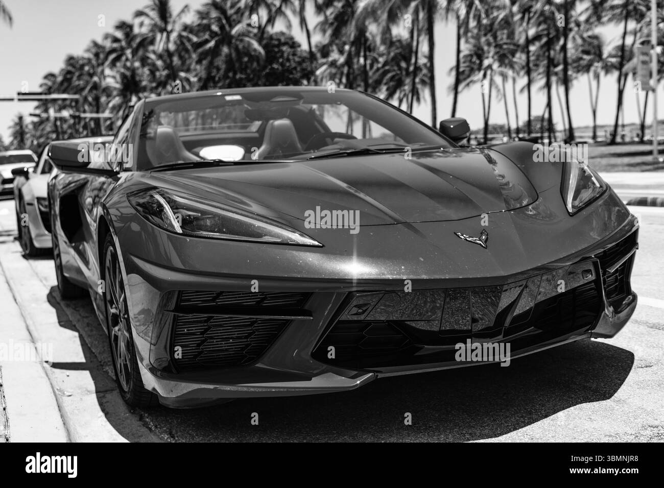 Miami Beach, Florida USA - June 9, 2024: Chevy Corvette C8 3LT at ocean ...