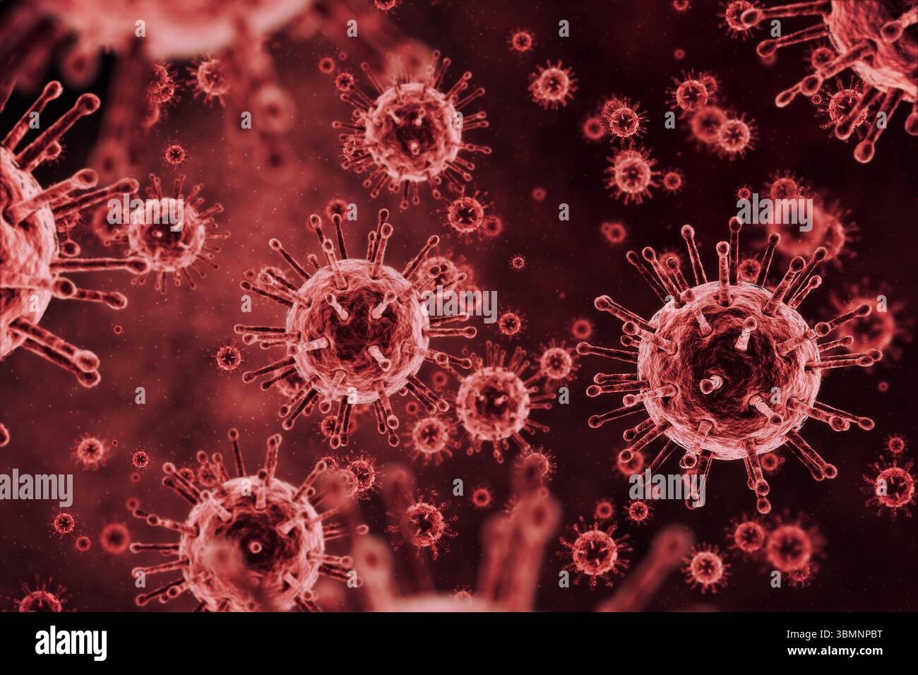 Human body image in hi-res stock photography and images - Alamy